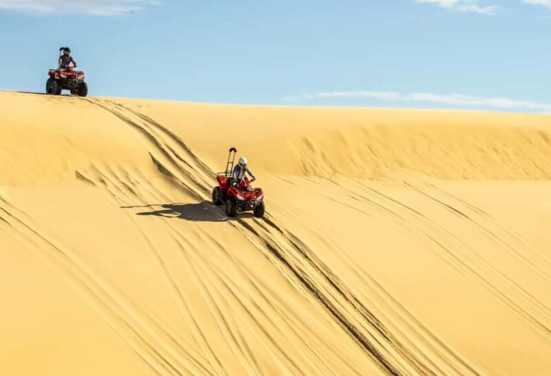 Sydney: Port Stephens Private Day Tour - Off-Road Adventures: Quad Biking and Camel Tours