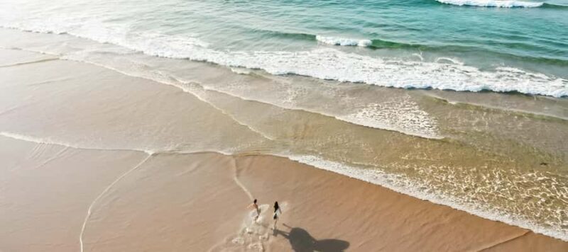 Sydney: Port Stephens Private Day Tour - Wildlife and Family-Friendly Visits