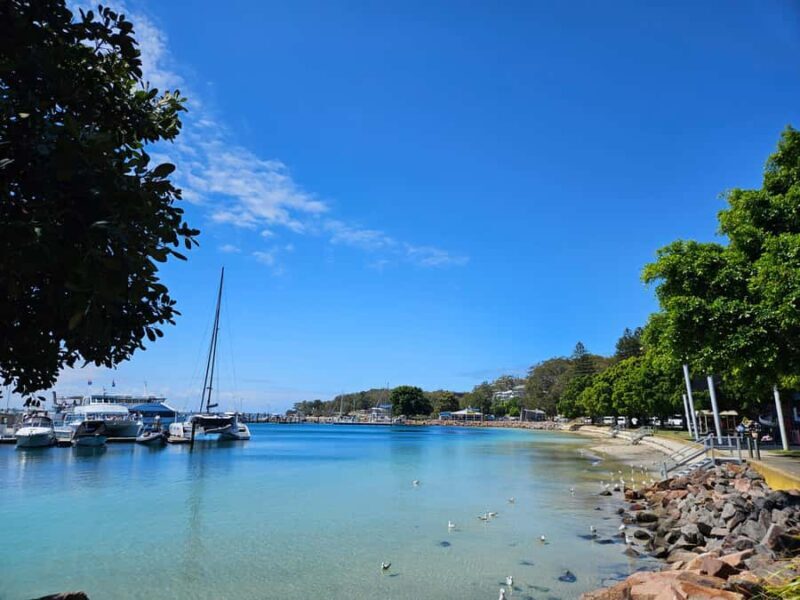 Sydney Port stephens (Private) - The Full Experience: What to Expect on the Port Stephens Private Tour