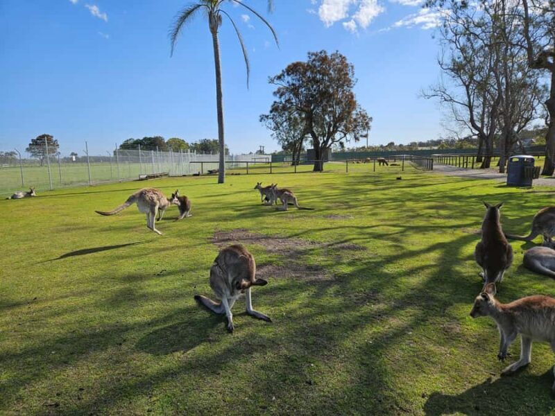 Sydney Port stephens (Tickets are not included) - Final Thoughts