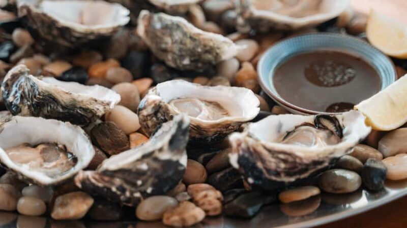 Sydney: Private 4-Hour Luxury Harbour Yacht Cruise and Swim - What to Expect from Your Sydney Harbour Yacht Cruise