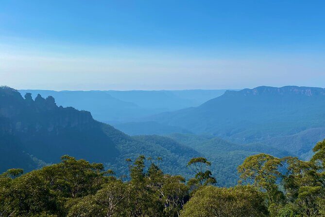 Sydney: PRIVATE Blue Mountains, Wildlife & Cruise Luxe Tour (10h) - FAQs