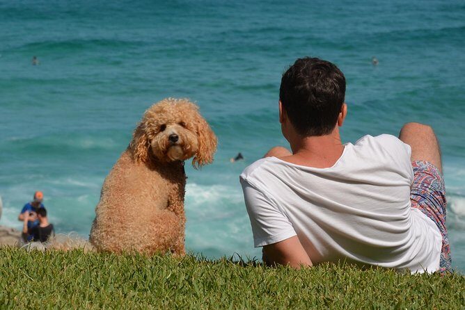 Sydney Private Experience with a Local 3-8hrs: Icons & Gems - Exploring Sydney on Your Terms