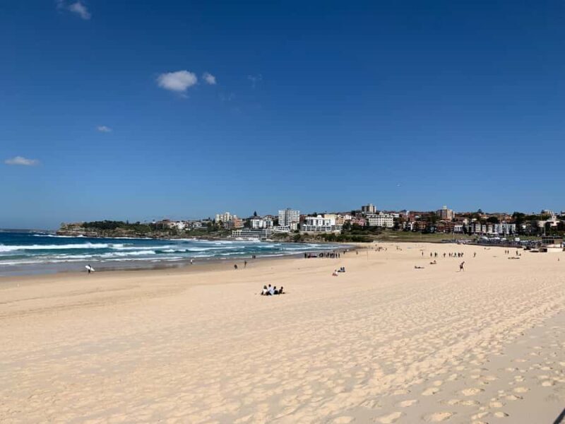 Sydney: Private Half or Full-Day Sightseeing Tour - An In-Depth Look at the Tour Experience