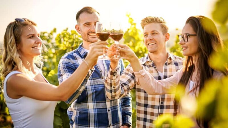 Sydney: Private Hunter Valley Premium Wine Tasting Luxe Tour - Detailed Breakdown of the Itinerary