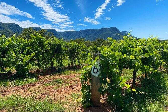 Sydney: PRIVATE Hunter Valley Wine Tasting Luxe Tour (10h) - Introduction
