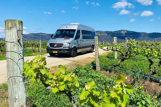 Sydney: PRIVATE Hunter Valley Wine Tasting Luxe Tour (10h) - The Sum Up