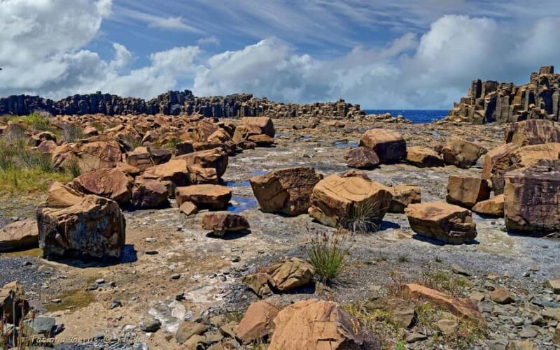 Sydney: Private South Coast, Highlands and Kiama Tour - FAQs