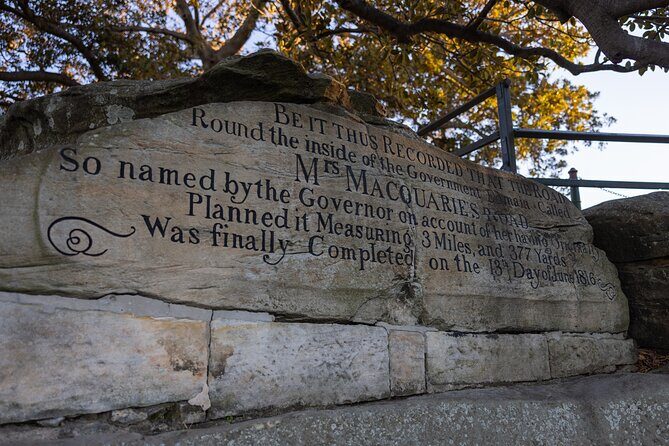 Sydney Private Tour 2 Hour Half Day Full Day and City Lights - Final Thoughts: Who Is This Tour Best For?