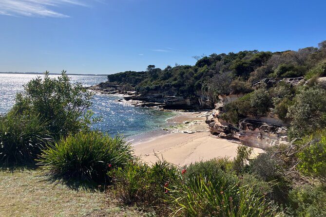 Sydney Private Tour Inc The Royal National Park and Symbio Zoo - Who Will Love This Tour?