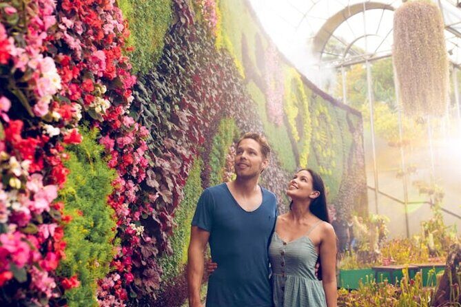 Sydney Private Tour & Pick up & Drop off - What Sets This Tour Apart?