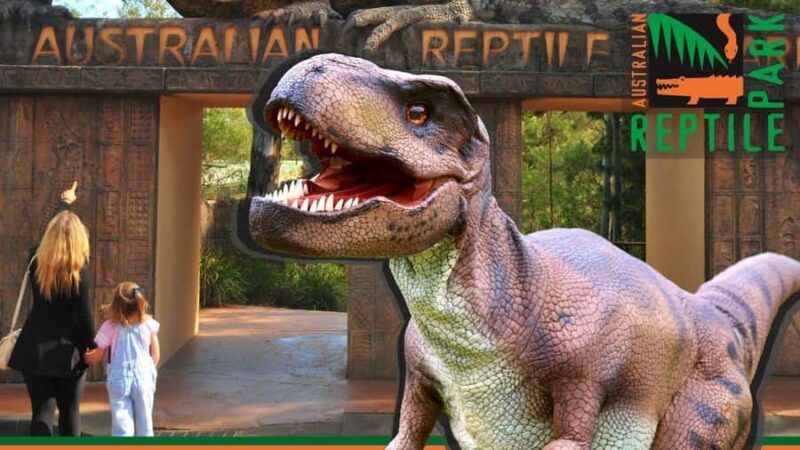 Sydney: Reptile Park and Avoca Beach Day Trip with Entry - Key Points