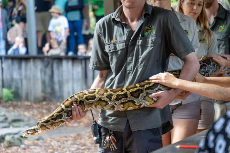 Sydney: Reptile Park and Avoca Beach Day Trip with Entry - What Makes This Tour Stand Out