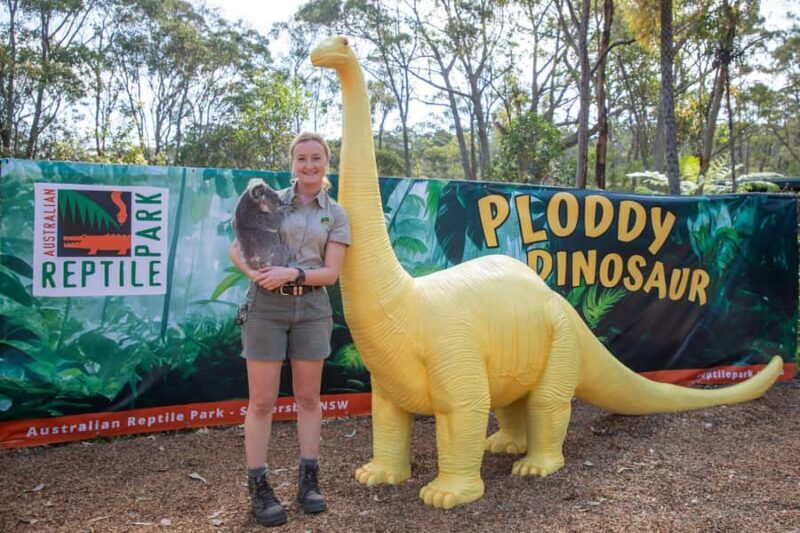 Sydney: Reptile Park and Avoca Beach Day Trip with Entry - Practical Considerations