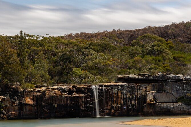 Sydney: Royal National Park Day Trip with Picnic and Swim - The Experience: An In-Depth Look