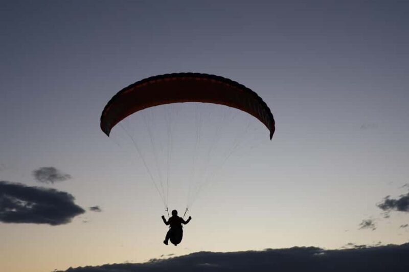 Sydney: Royal National Park private day tour - A Complete Look at the Royal National Park Private Tour