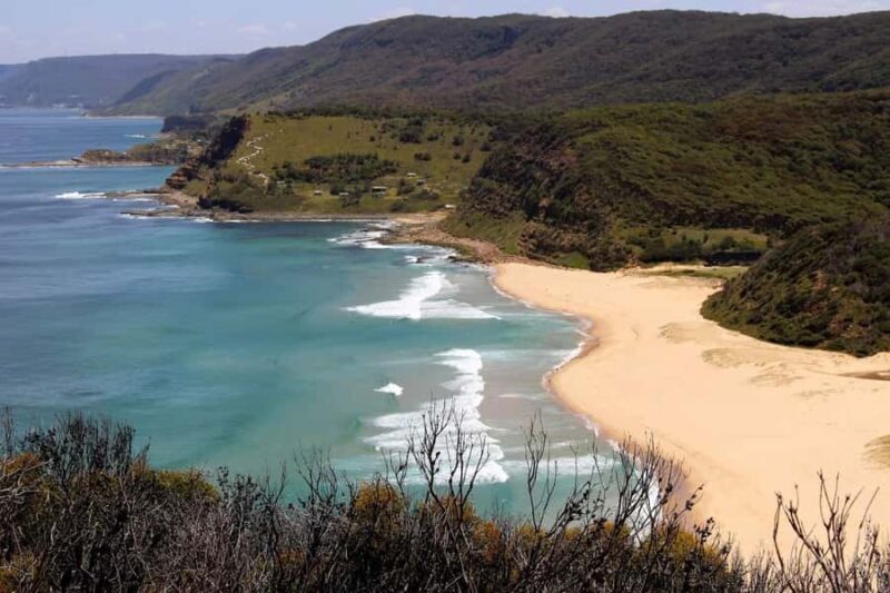 Sydney: Royal National Park private day tour - The Sum Up: Who Will Love This Experience?