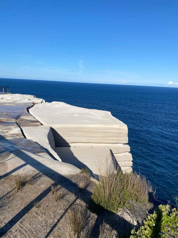 Sydney: Royal National Park tour with picnic - An In-Depth Look at the Experience