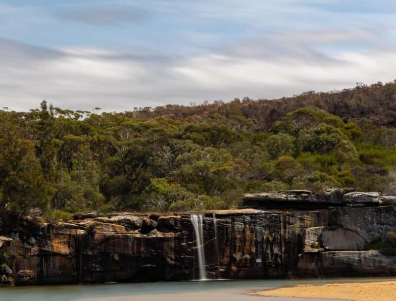 Sydney: Royal National Park tour with picnic - Who Will Love This Tour?