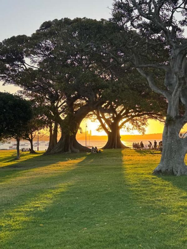 Sydney: Scenic Ferry & Sunset Experience in Watsons Bay - Who Will Love This Tour?