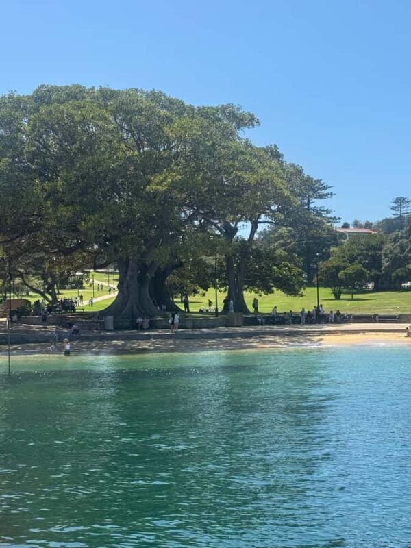 Sydney: Scenic Ferry & Sunset Experience in Watsons Bay - Final Thoughts