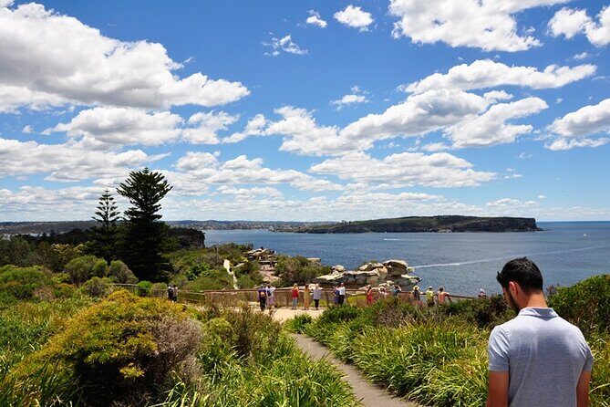 Sydney Sightseeing Bus Tour with Local Guide - Key Points  