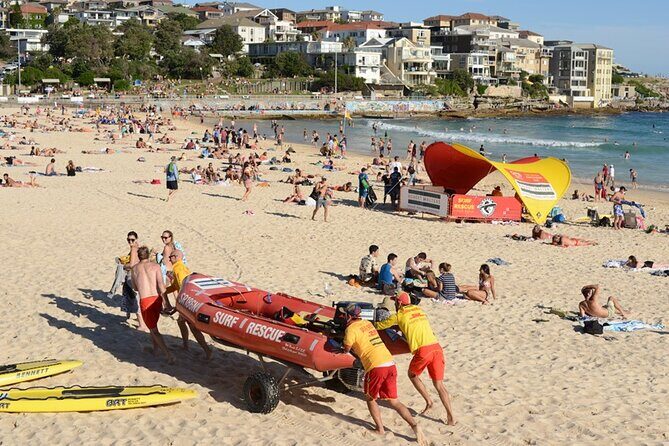 Sydney Sightseeing Bus Tour with Local Guide - Authentic Travel Tips from Reviewers