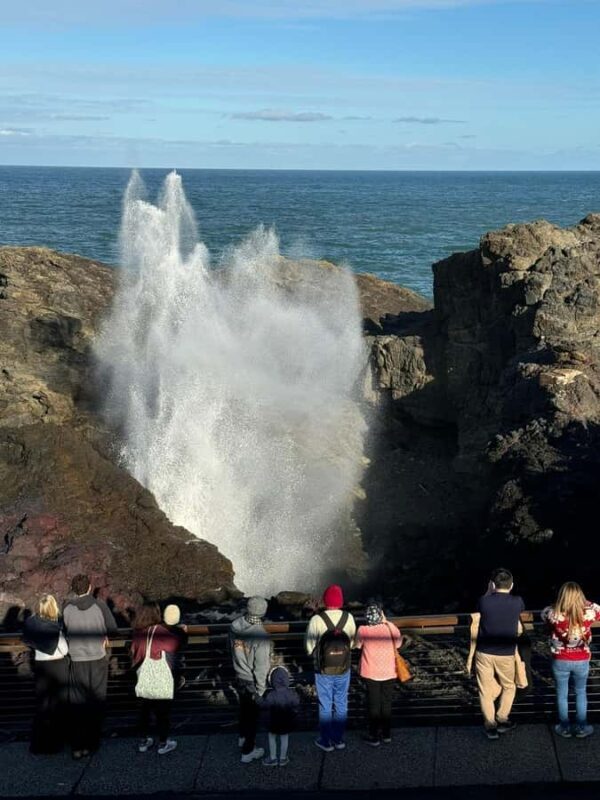 Sydney South Beaches Cycling Tour Self Guided - Final Thoughts