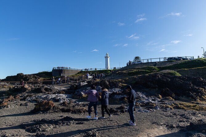 Sydney South Coast Day Tour  Kiama Blowhole & Sea Cliff Bridge - Authentic Experiences from Past Travelers