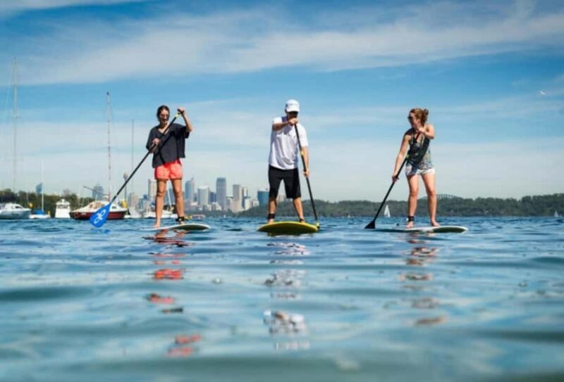 Sydney: Stand Up Paddling & Swim Experience in Watsons Bay - Key Points  