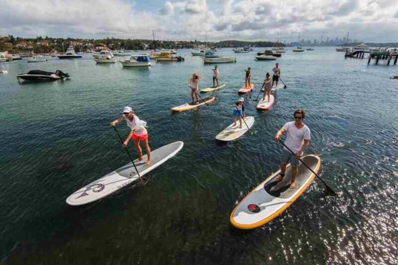 Sydney: Stand Up Paddling & Swim Experience in Watsons Bay - The Itinerary and Experience Details  