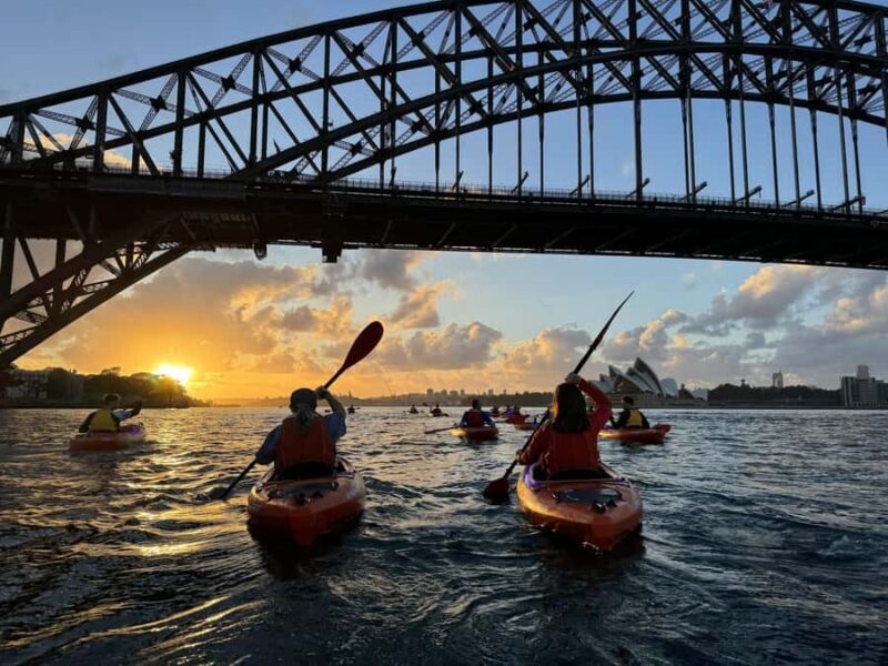 Sydney: Sunrise Kayak, Opera House & Under Harbour Bridge - Practical Considerations