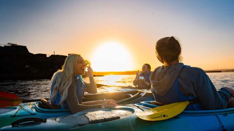 Sydney Sunrise Kayak Tour on Sydney Harbour - The Sum Up