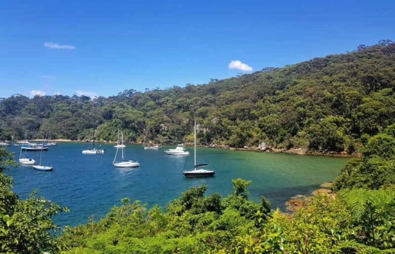 Sydney: Taronga to Balmoral hike with Picnic and painting - Exploring the Sydney Harbour Hike: A Detailed Review