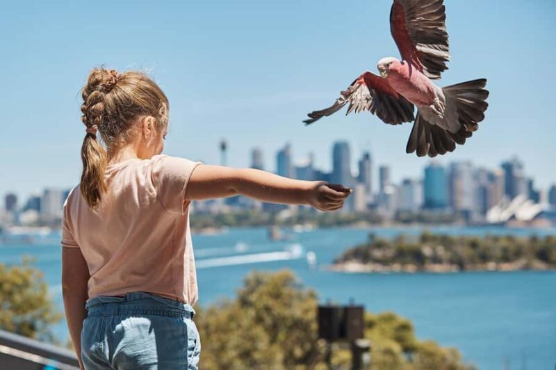 Sydney: Taronga Zoo Ticket with Return Ferry - Practical Tips for Your Visit  