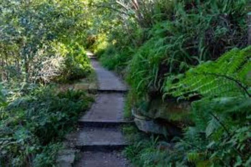 Sydney: Taronga zoo to Balmoral Walk with Ala carte Lunch - Practical Details and What to Expect