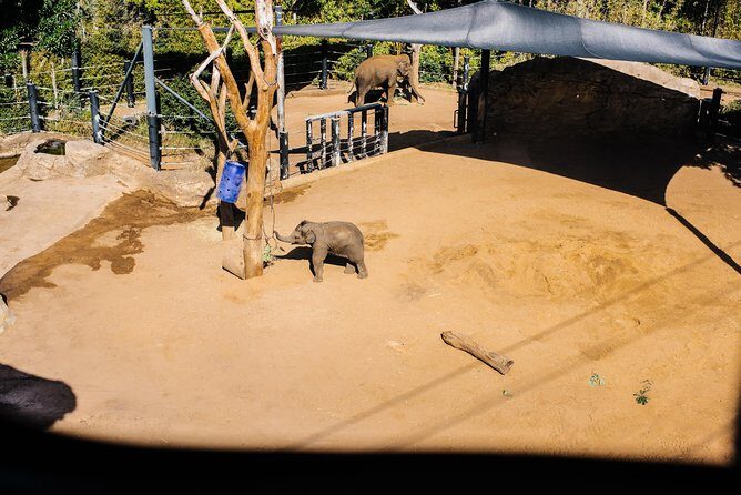 Sydney Taronga Zoo Wild Australia Experience - Who Is This Tour Best For?