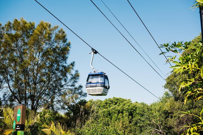 Sydney Taronga Zoo Wild Australia Experience - The Sum Up