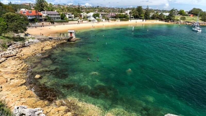 Sydney: Watsons Bay Walking Tour - Practical Details and What to Expect