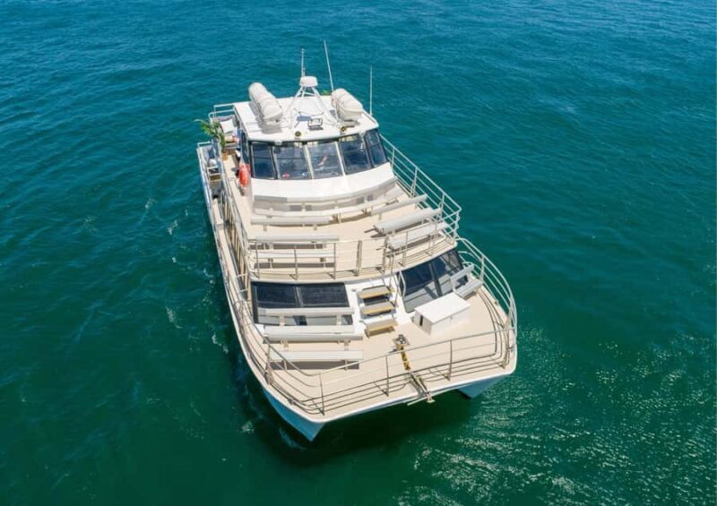 Sydney: Whale Watching Adventure Cruise - Introduction: Why This Tour Could Be Your Next Favorite Experience