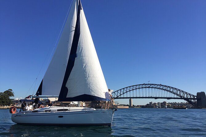 Sydney Whale Watching Cruise from Circular Quay - The Sum Up