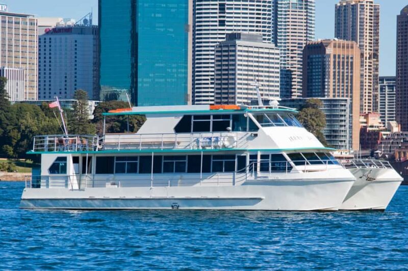 Sydney Whale Watching Cruise with Breakfast or Lunch - Value for Money
