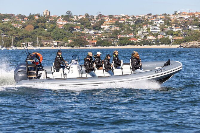 Sydney Whale Watching on Small RIB - Key Points