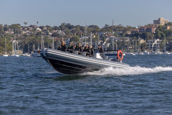 Sydney Whale Watching on Small RIB - Why This Tour Is Worth Considering