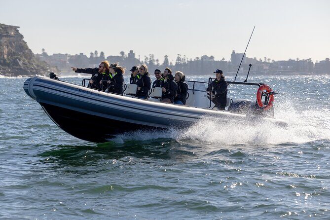 Sydney Whale Watching on Small RIB - The Sum Up