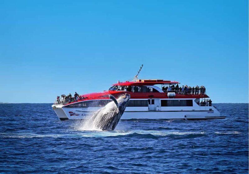 Sydney: Whale Watching & Wildlife Cruise - The Itinerary in Detail