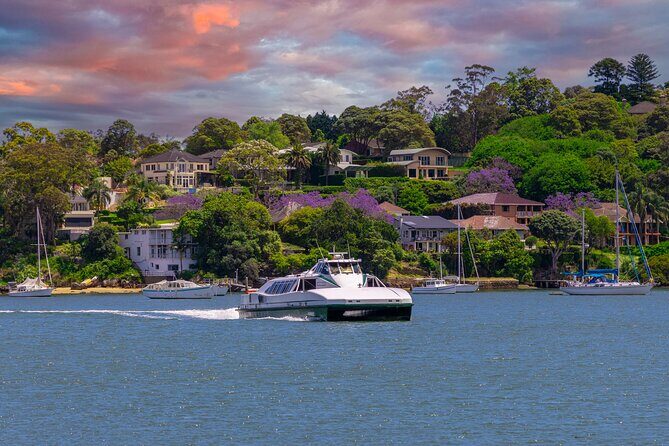 Sydney Wild Kangaroos and a Cruise: A Private Wildlife Adventure - What’s Included and What to Keep in Mind