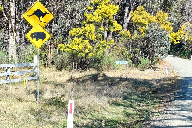 Sydney Wildlife Safari - The Practicalities and What to Expect