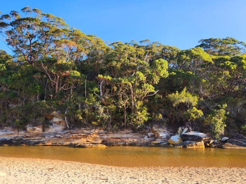 Sydney Woollongong and Kiama tour (Private) - The Itinerary Breakdown: What to Expect on Your Day