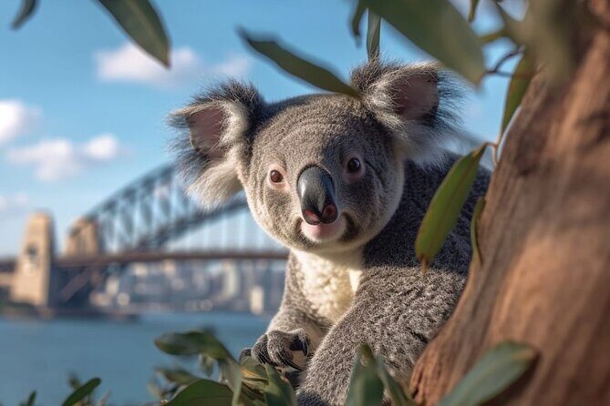 Sydney Your Way - Customisable Tour - Who Is This Tour For?